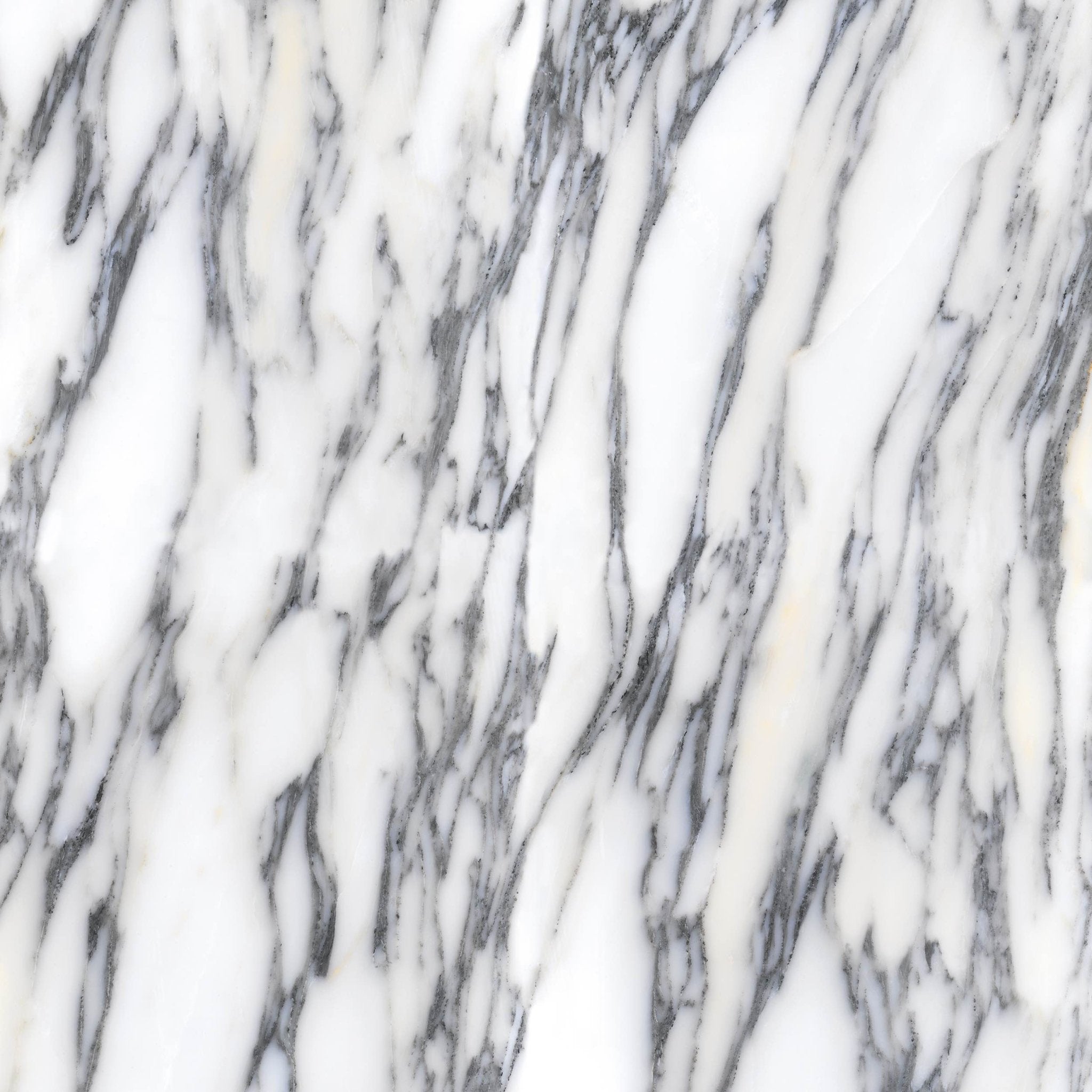 Arabescato Corchia⏐High-Resolution Marble Texture Design