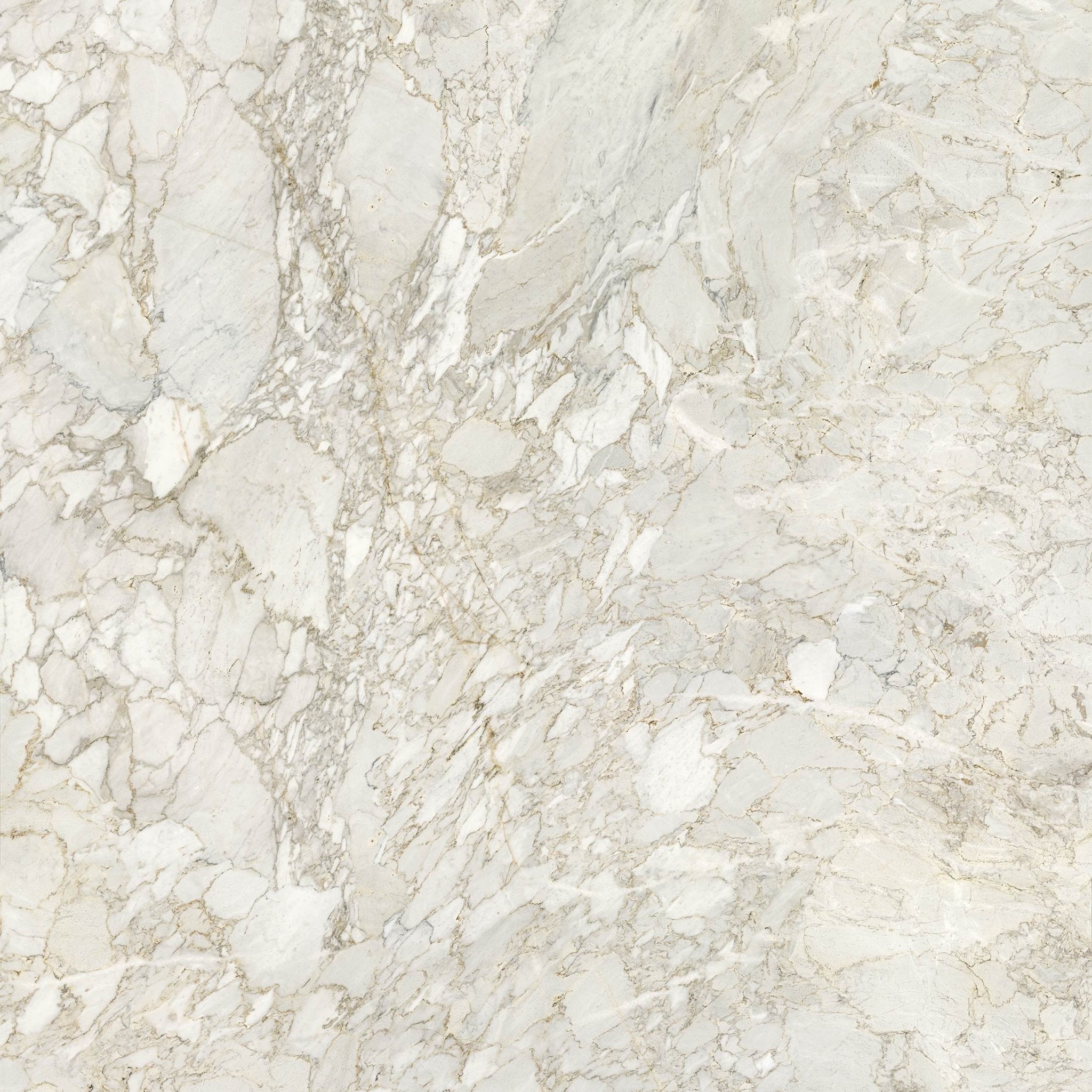 Arabescato⏐High-Resolution Marble Texture Design