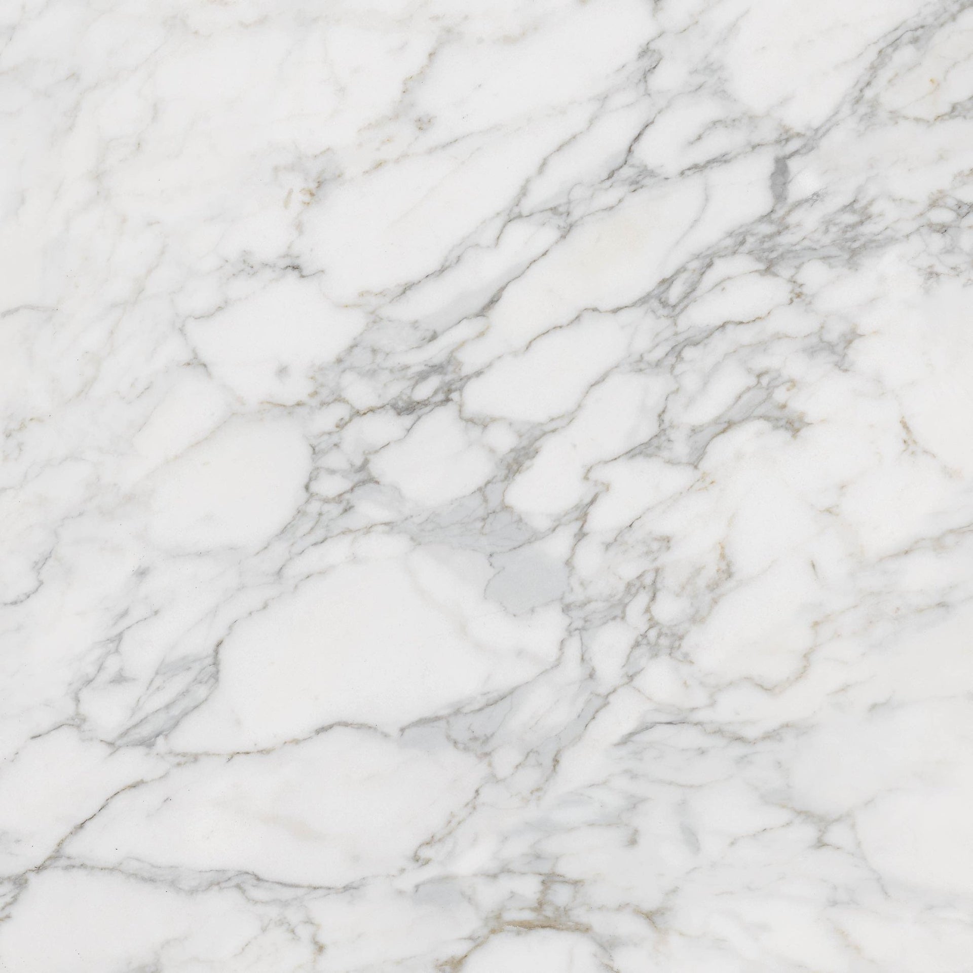 Cororo | Stunning Calacatta Textures | Digital Download