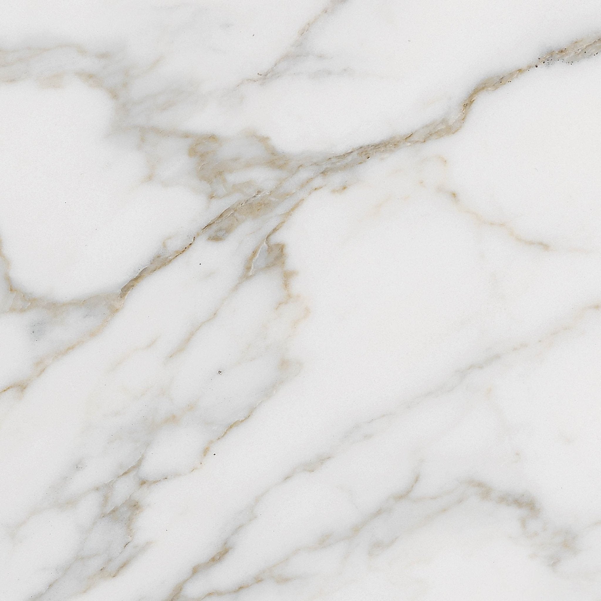 Cororo | Stunning Calacatta Textures | Digital Download