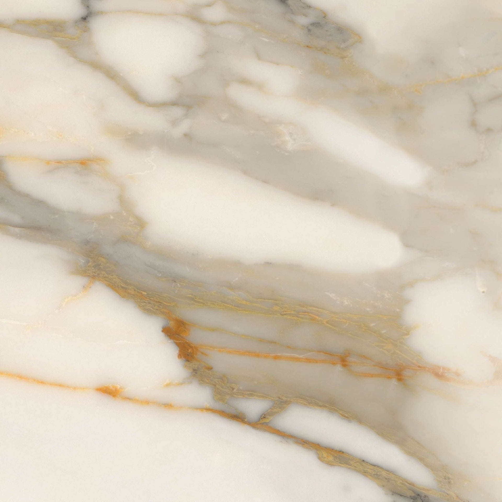 Cororo | Stunning Calacatta Textures | Digital Download