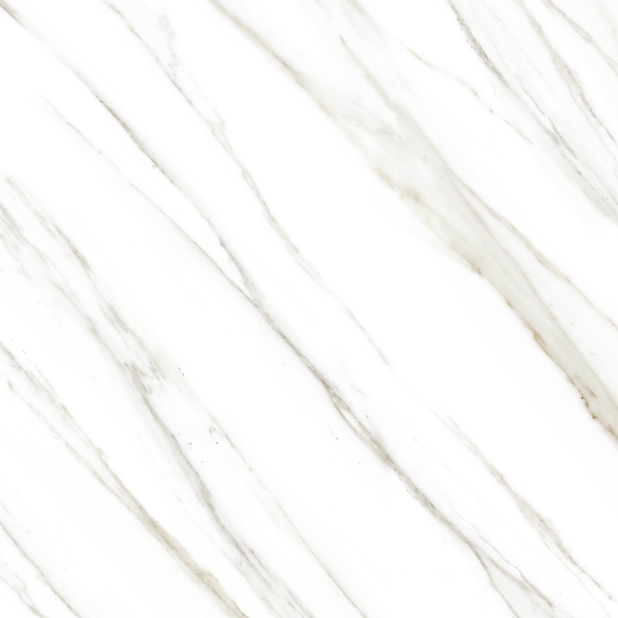 Daneli Statuario⏐High-Res Calacatta Texture Design
