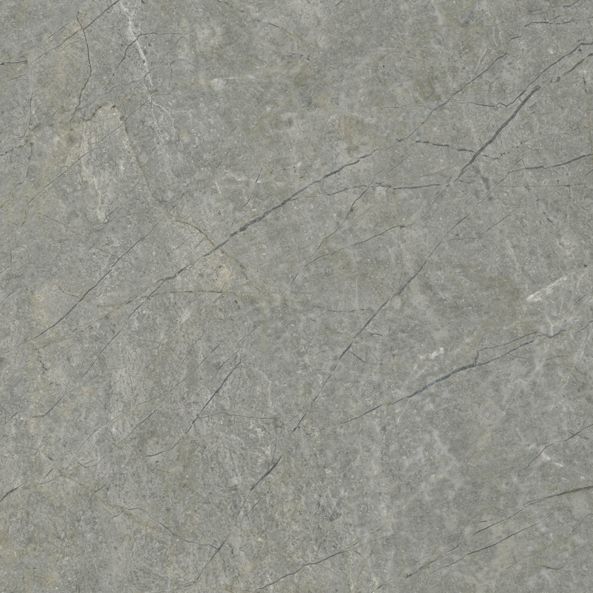 Entobia⏐High-Resolution Marble Texture Design