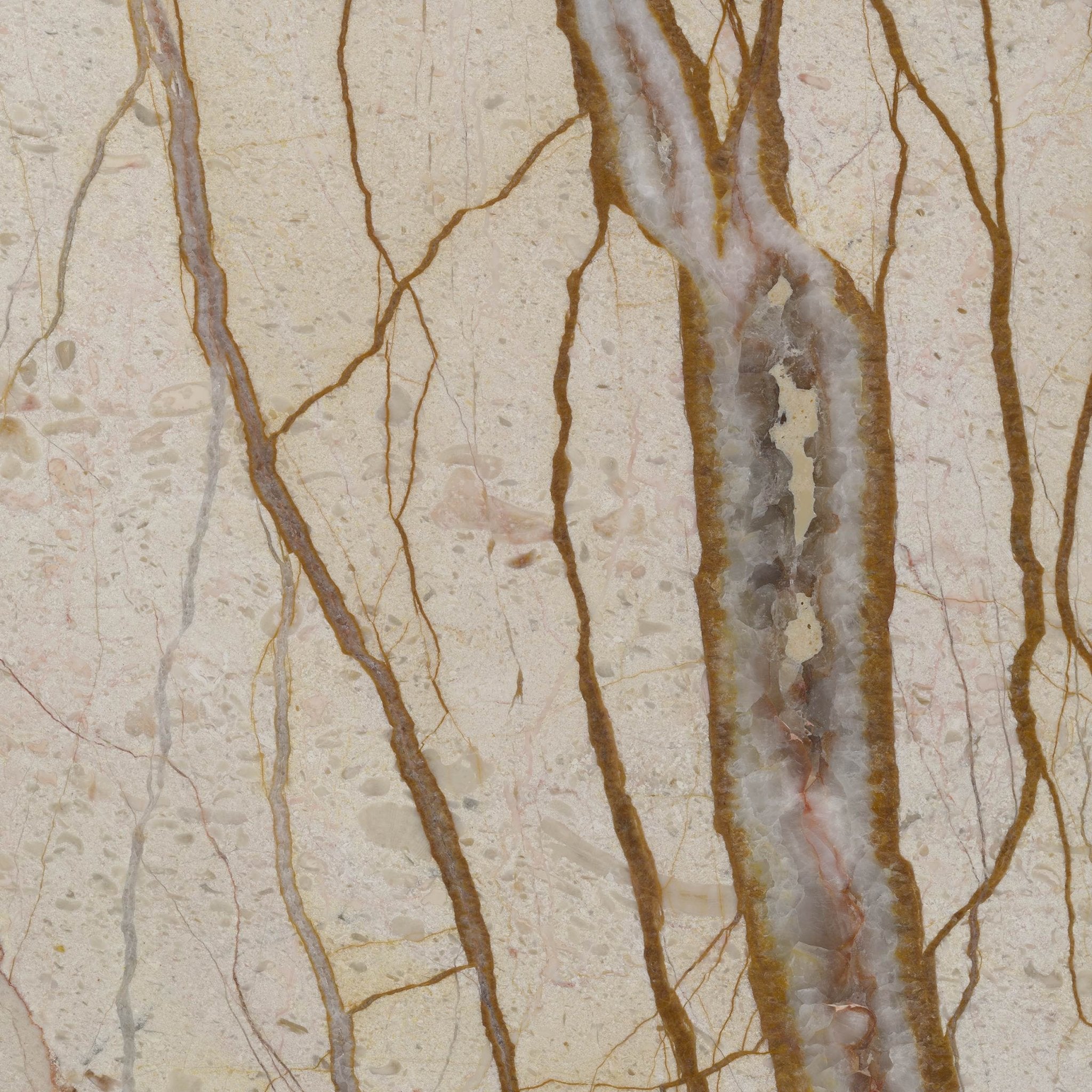 Ionia⏐High-Resolution Marble Texture Design