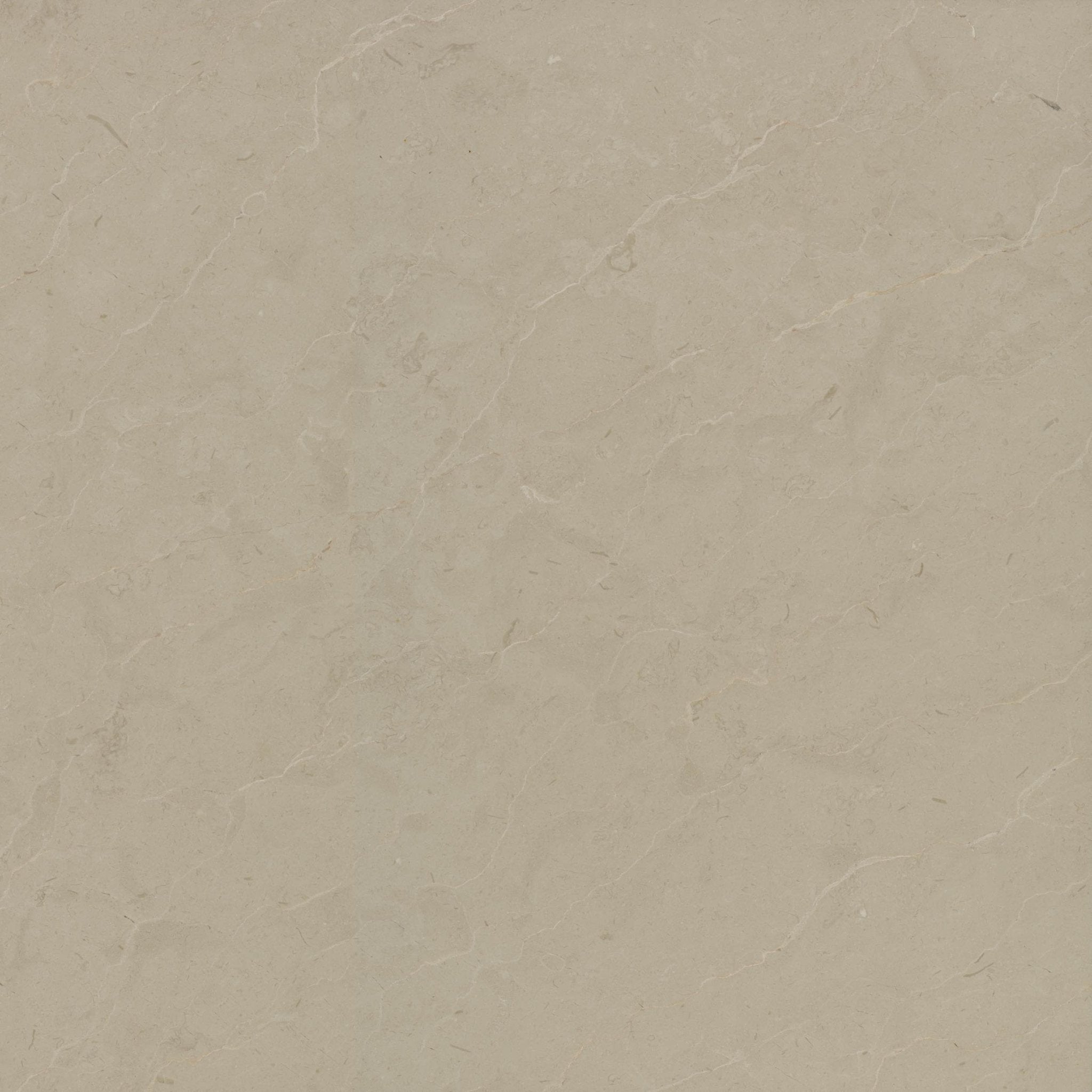 Limra⏐High-Resolution Limestone Texture Design