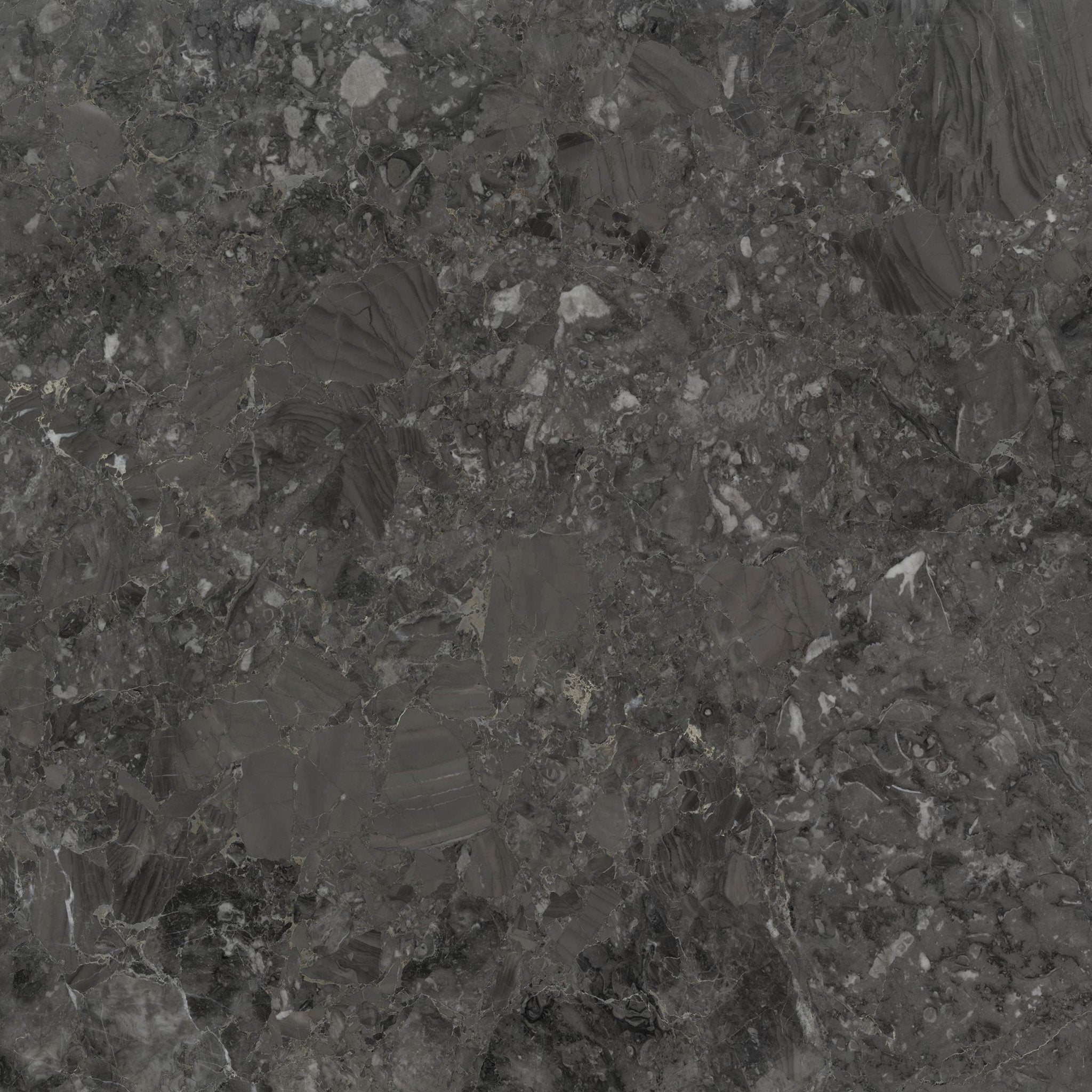 Maestosa ⎸ High-Resolution Textured Surface Design – cororo