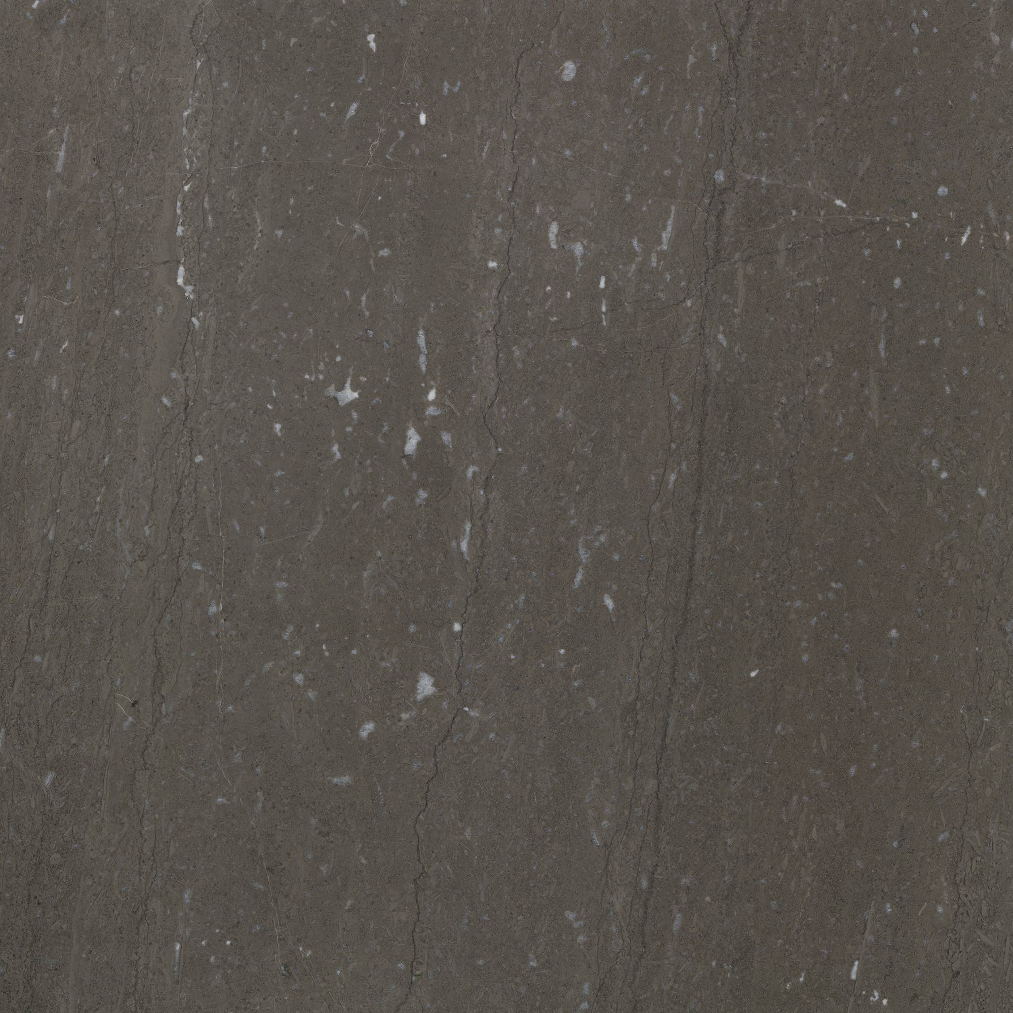 Pannonia⏐High-Resolution Limestone Texture Design