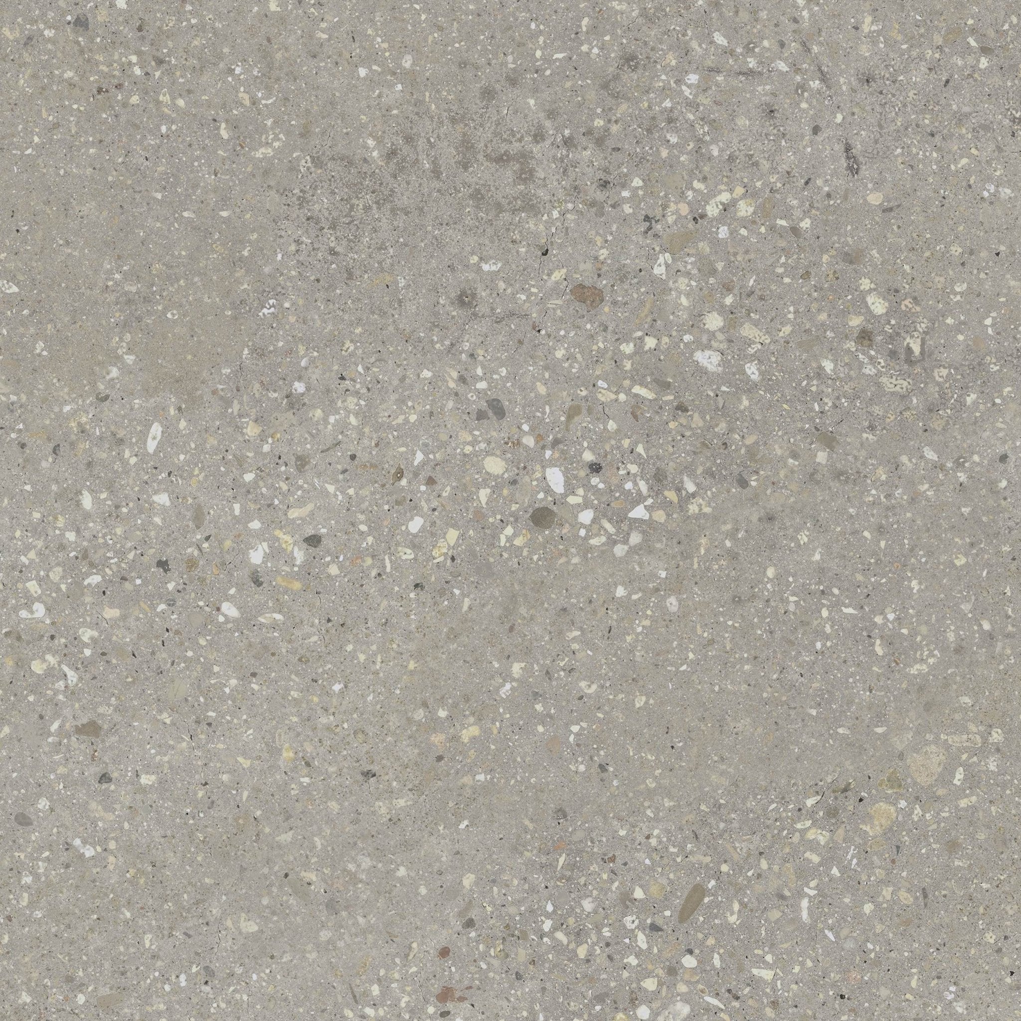 Savoy⏐High-Resolution Terrazzo Texture Design