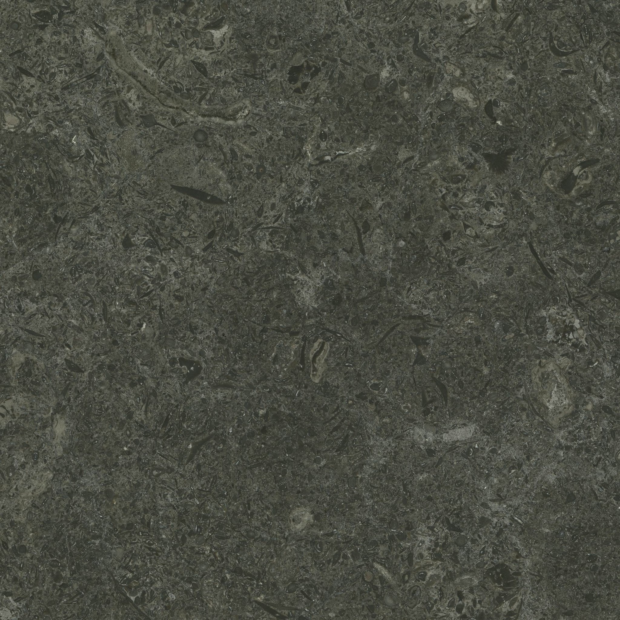Tournai⏐High-Resolution Limestone Texture Design