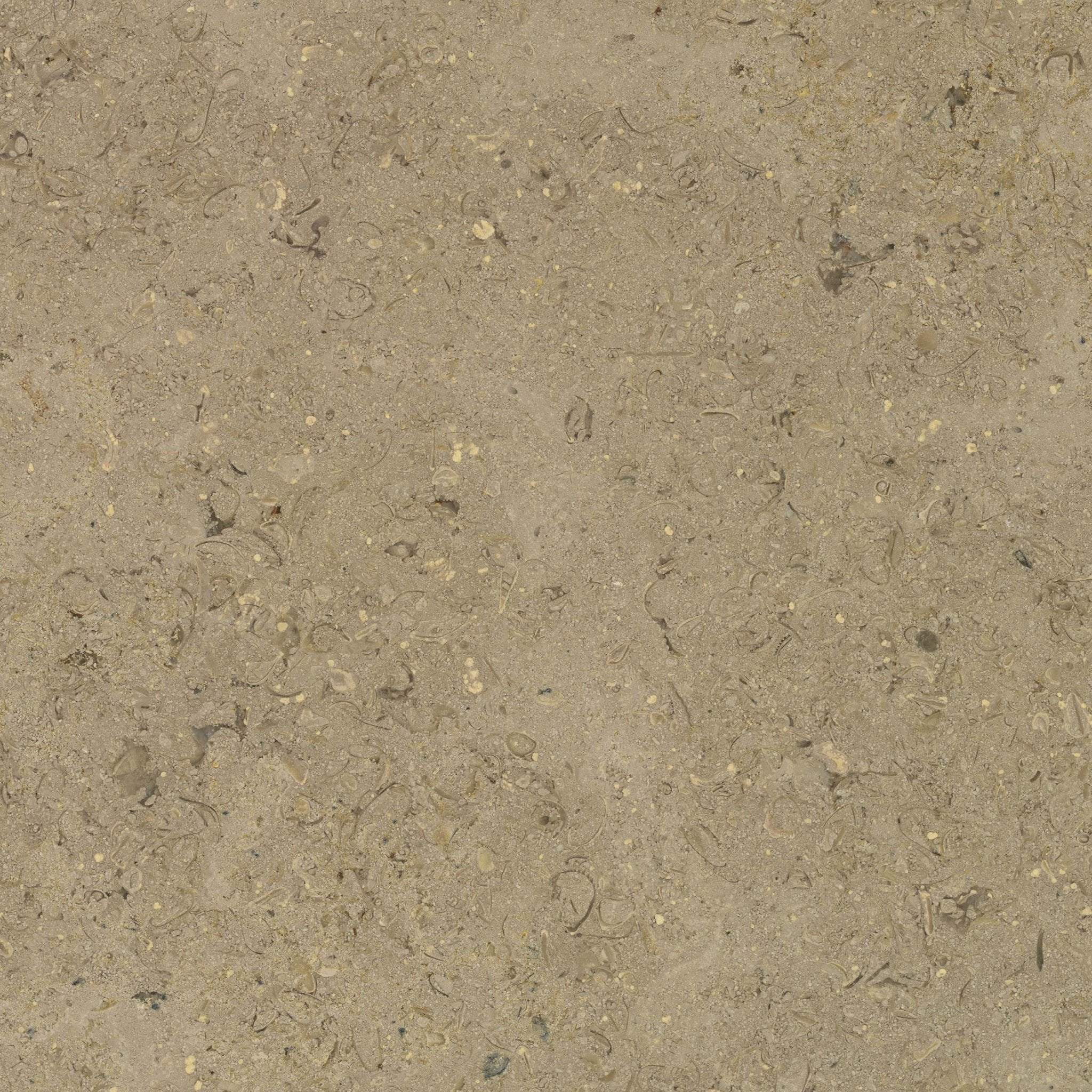 Tuffeau⏐High-Resolution Limestone Texture Design