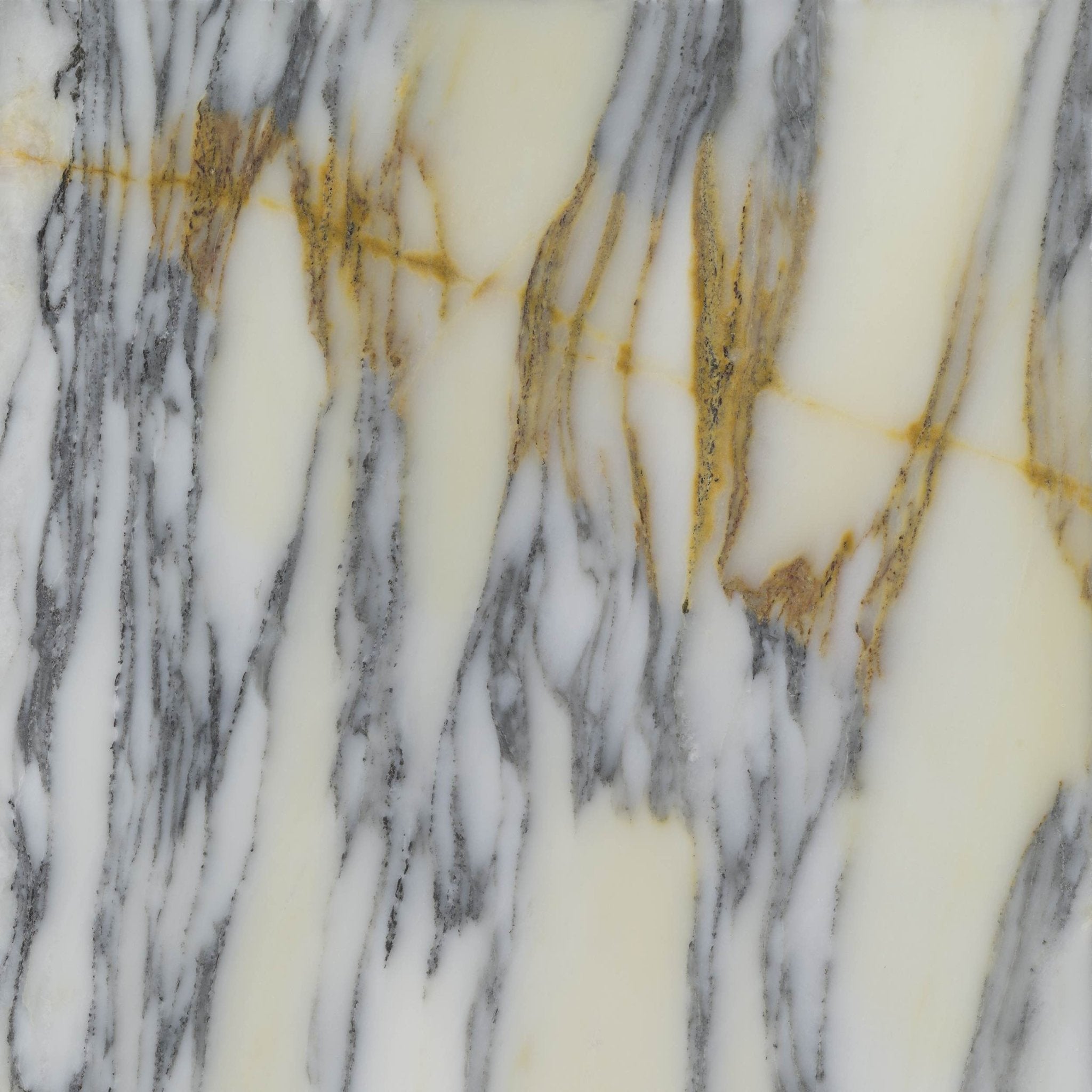 Uffizi⏐High-Resolution Marble Texture Design